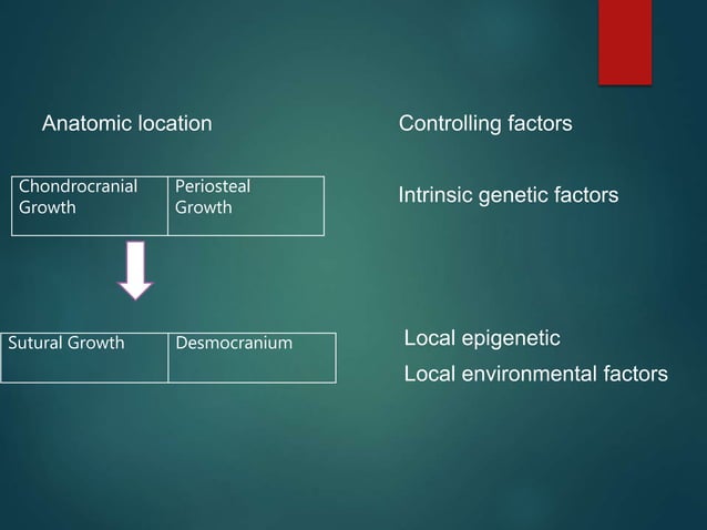 Theories of growth | PPT | Bone and Joint Conditions | Diseases and ...