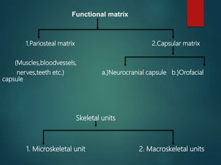 Theories of growth | PPT