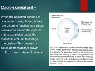 Theories of growth | PPT