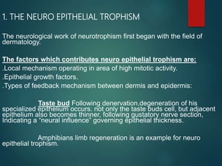 Theories of growth | PPT