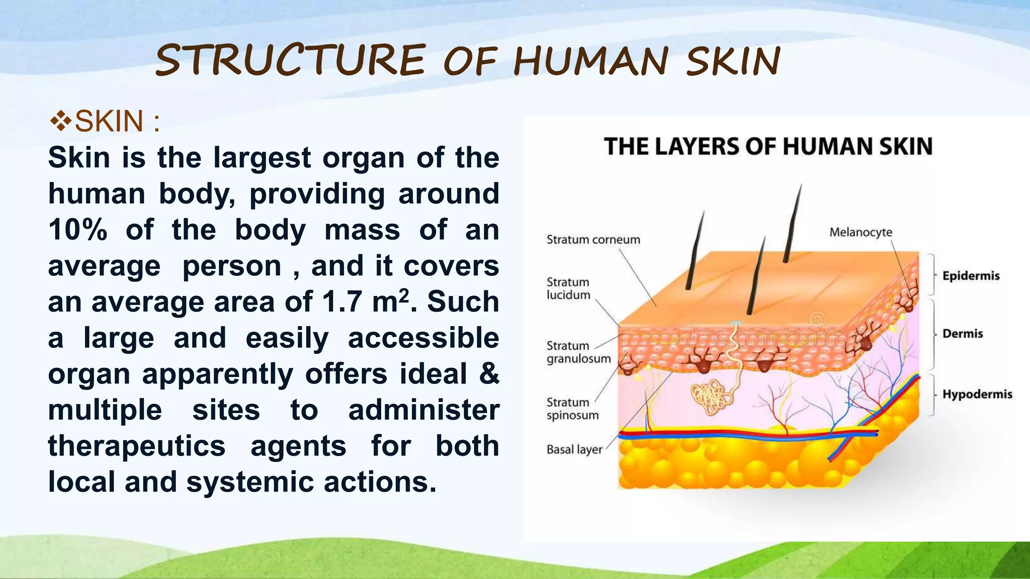 Transdermal drug delivery system | PPT
