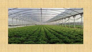 MICROCONTROLLER BASED DRIP IRRIGATION SYSTEM | PPT