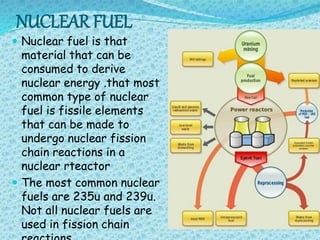 Nuclear Power Plant | PPTX
