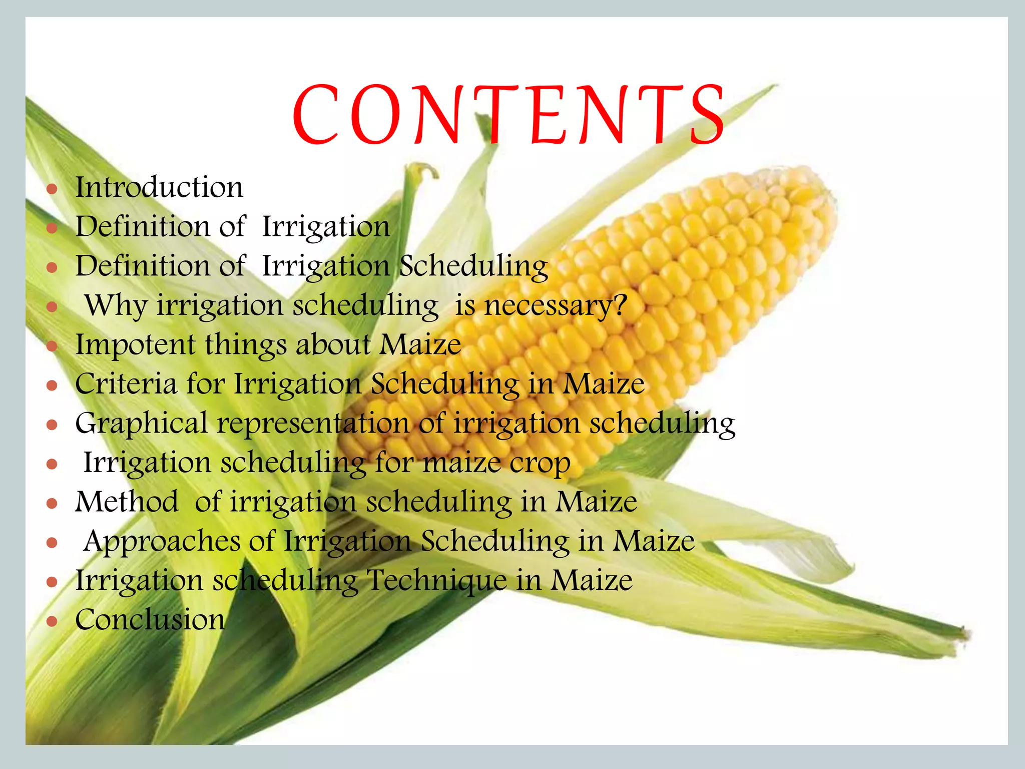 Irrigation scheduling in Maize by Anurag Prajapati | PPTX
