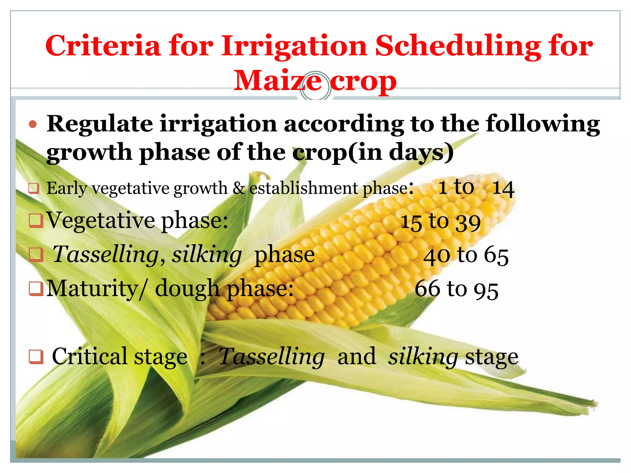 Irrigation scheduling in Maize by Anurag Prajapati | PPTX