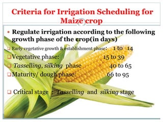 Irrigation scheduling in Maize by Anurag Prajapati | PPTX