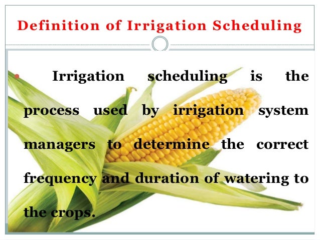 Irrigation Scheduling In Maize By Anurag Prajapati