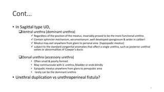 seminar UD (2).pptxjjjjjjjjjjjjjjjjjjjjjjjjjjjjjj | PPTX