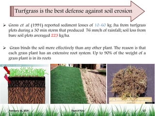ROLE OF TURFGRASSES IN URBAN LANDSCAPE | PPTX