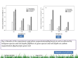 ROLE OF TURFGRASSES IN URBAN LANDSCAPE | PPTX