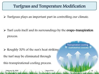 ROLE OF TURFGRASSES IN URBAN LANDSCAPE | PPTX
