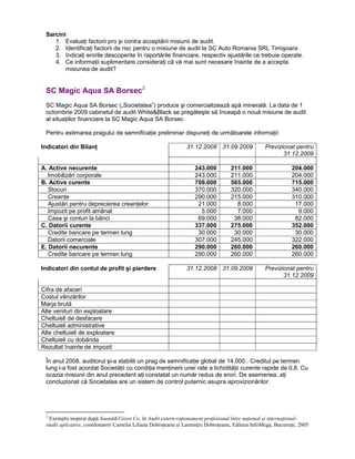 Seminarul%202%20 riscul%20de%20audit%20prag%20de%20semnificatie | PDF
