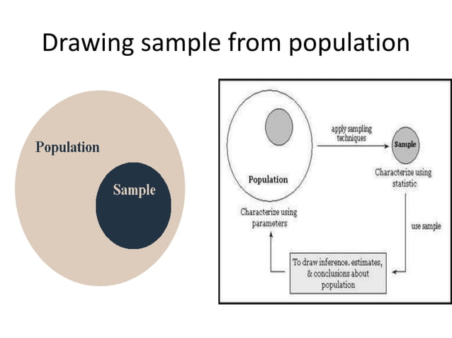 Univariate Analysis | PPTX | Educational Assessment | Education