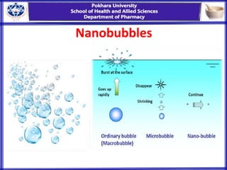 Preparation of Nanobubbles for Novel Drug Delivery | PPTX