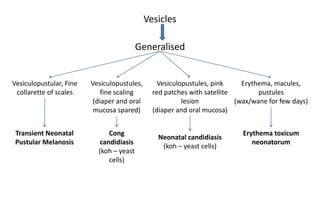 Approach to a patient with vesicobullous disorder | PPTX