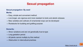 Innovative plant propagation technique Seminar Vivek PHD New - Copy.pptx
