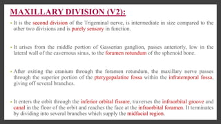 SEMINAR V & VI TRIGEMINAL NERVE AND ITS CLINICAL IMPORTANCE FINAL.pptx