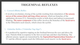 SEMINAR V & VI TRIGEMINAL NERVE AND ITS CLINICAL IMPORTANCE FINAL.pptx