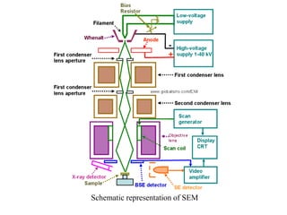 Advanced Characterization Technique - SEM | PPTX
