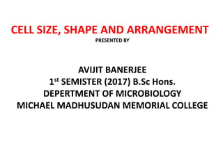Cell Size, Shape And Arrangement | PPTX