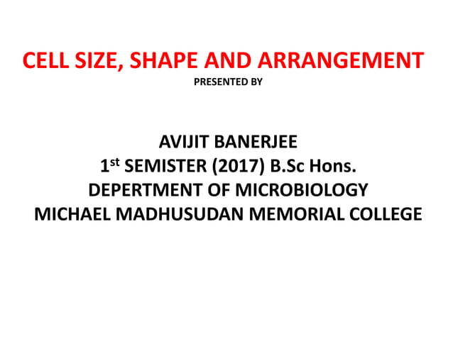 Cell Size, Shape And Arrangement | PPTX | Biological Sciences | Science