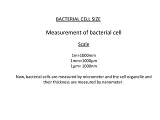 Cell Size, Shape And Arrangement | PPTX