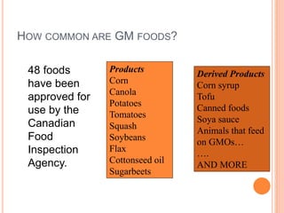 Genetically modified food crops and their contribution to human ...