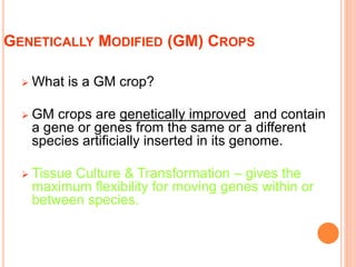 Genetically modified food crops and their contribution to human ...