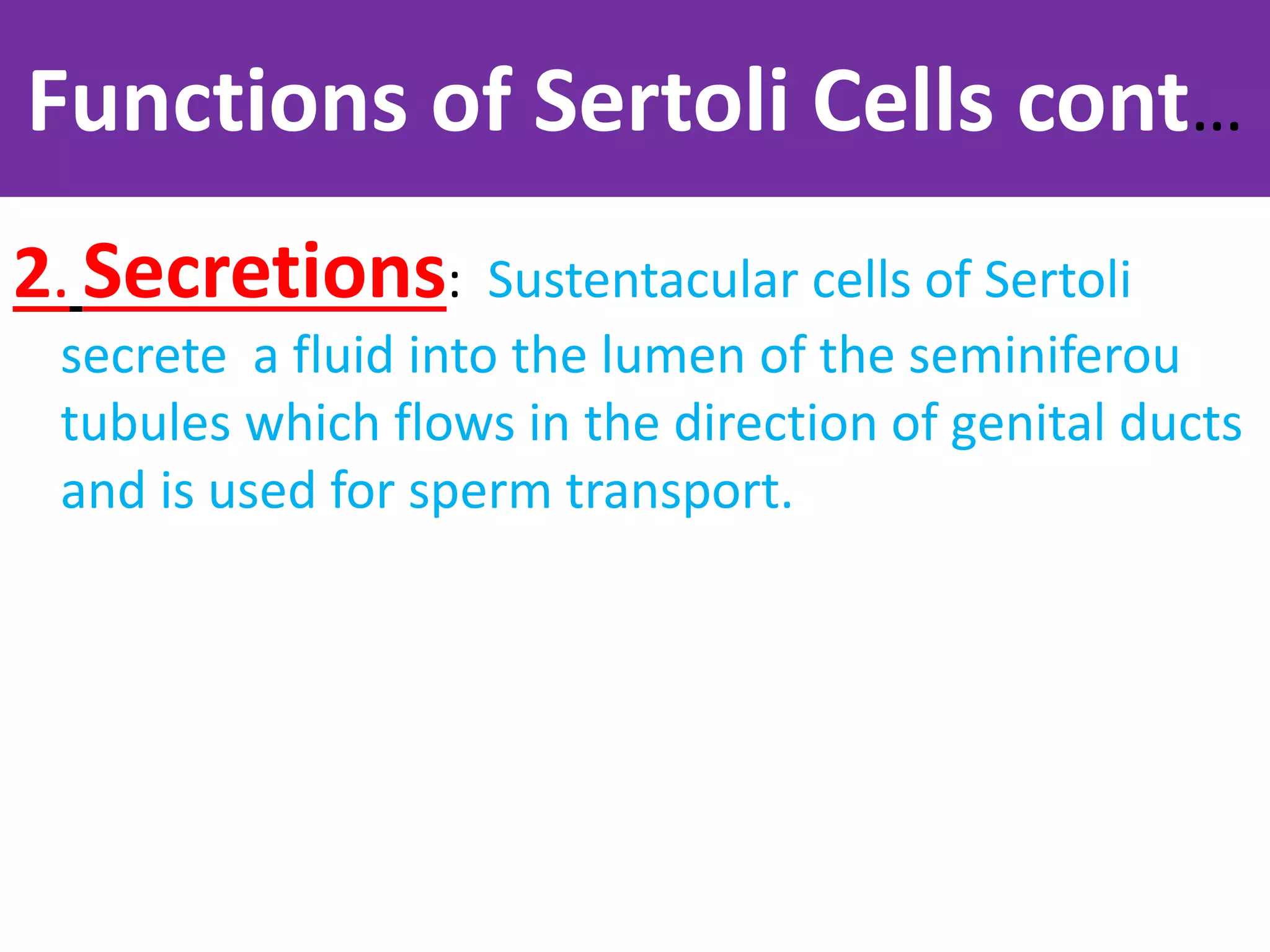 Seminiferous tubules | PPTX