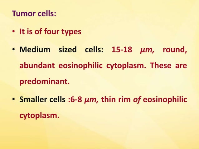 Seminoma | PPTX | Biological Sciences | Science