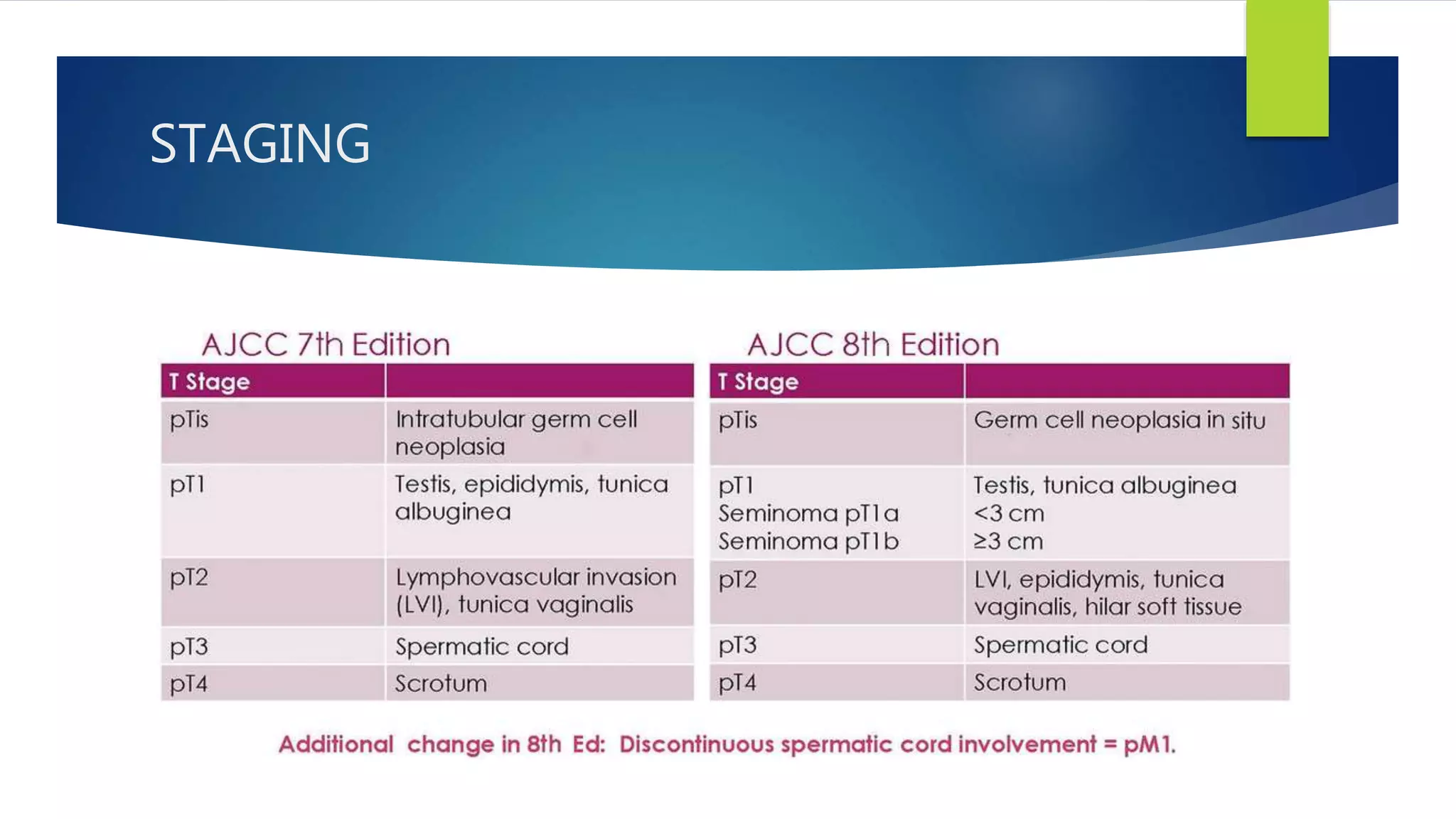 Testicular tumors-germ cell tumor-seminoma | PPTX