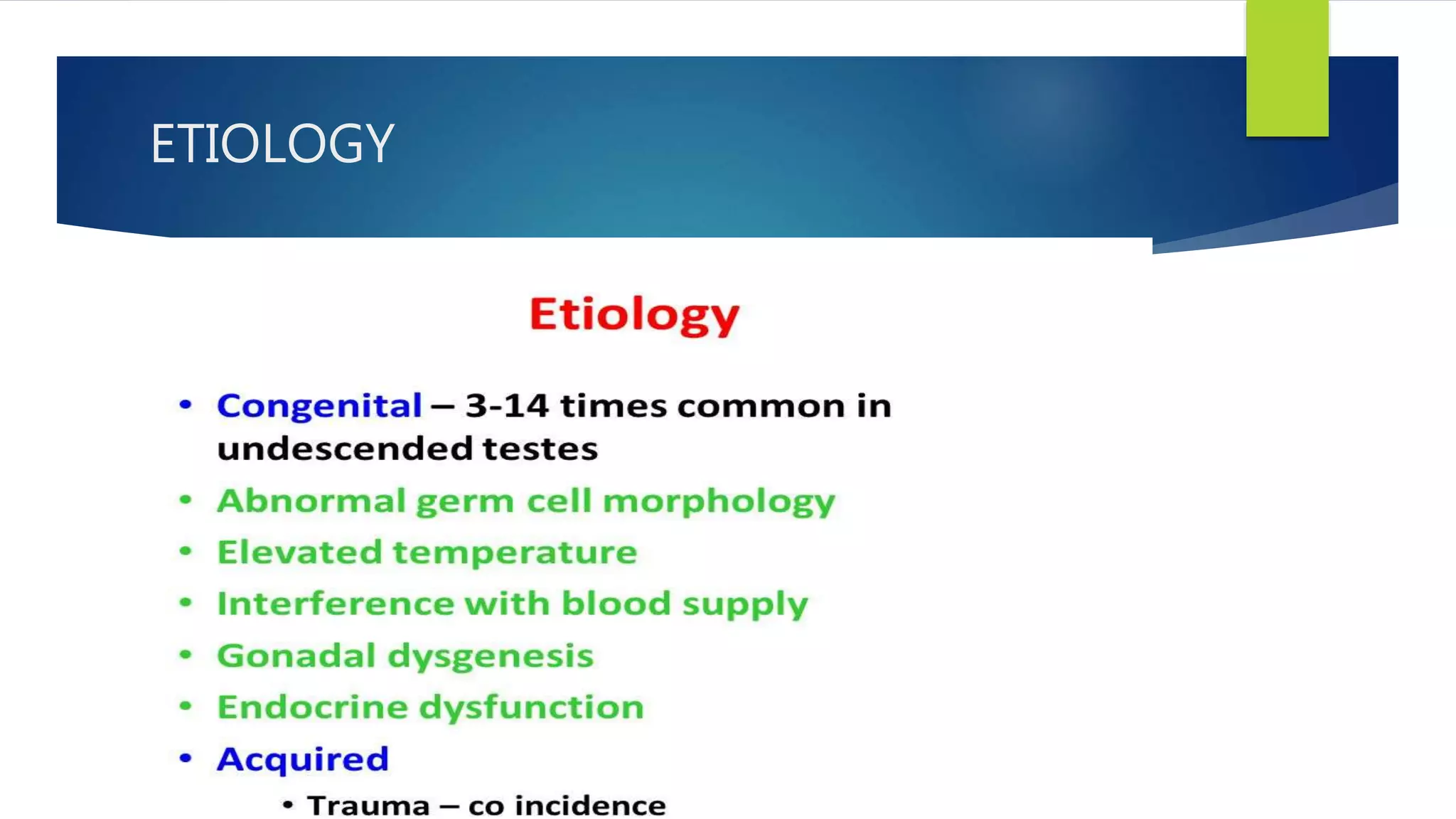 Testicular tumors-germ cell tumor-seminoma | PPTX