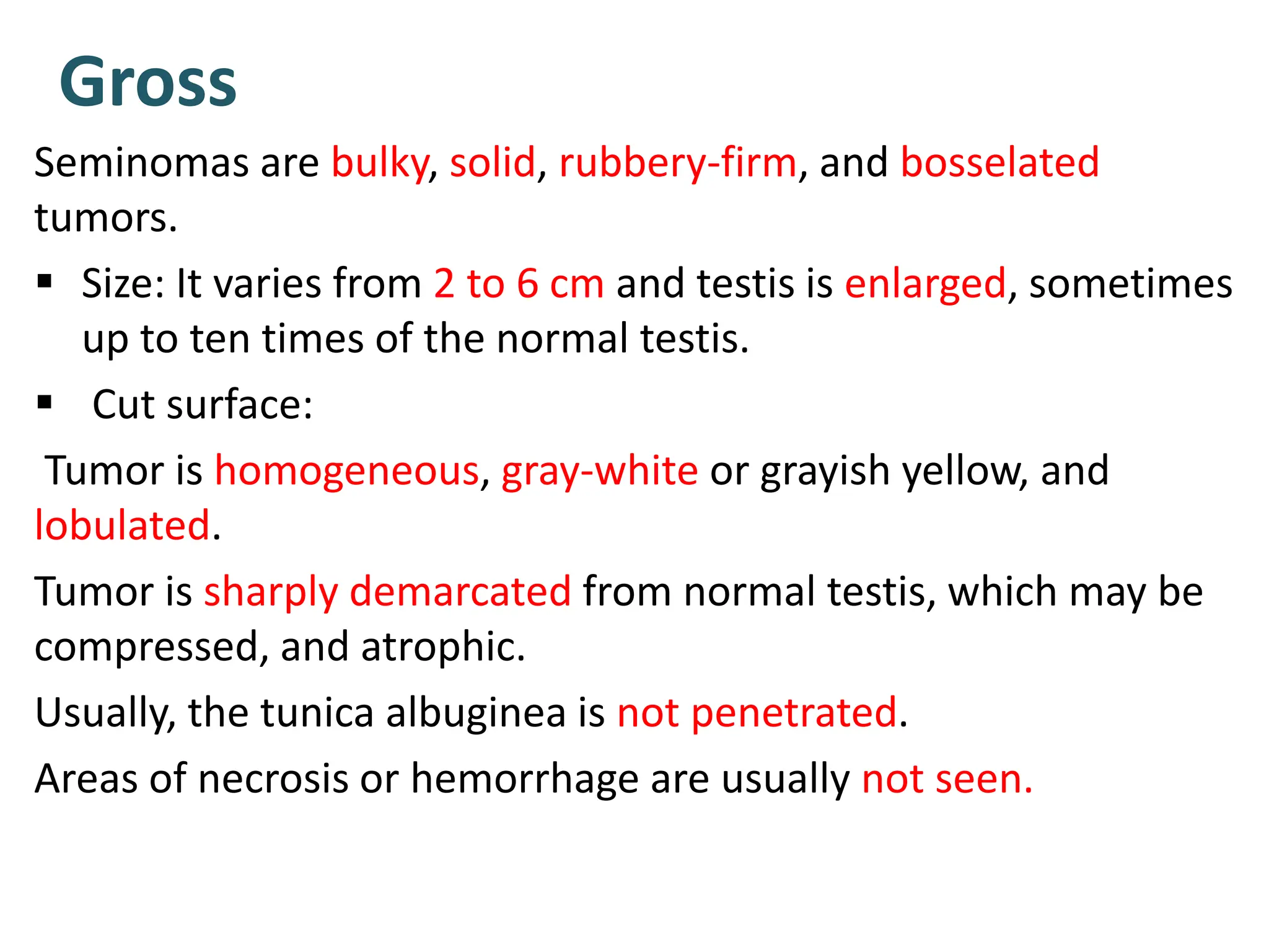 SEMINOMA.pptx ........................... | PPTX