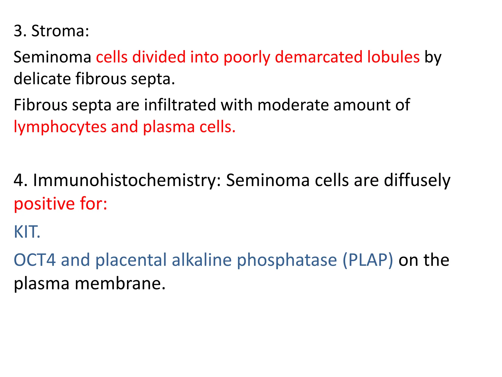 SEMINOMA.pptx ........................... | PPTX