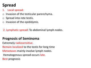 SEMINOMA.pptx ........................... | PPTX