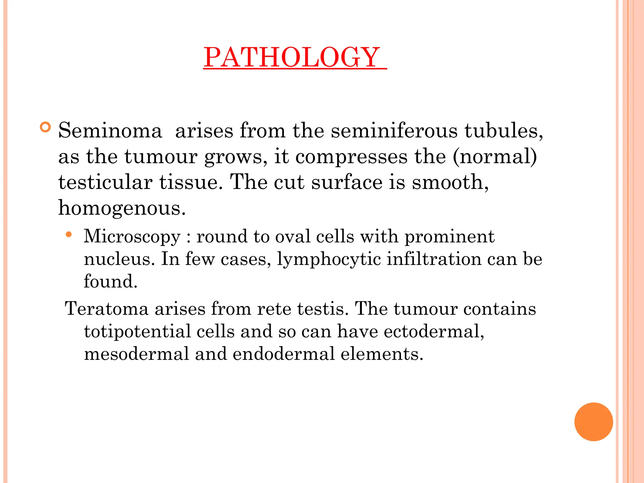 common testicular tumour- Seminoma of testis | PPT