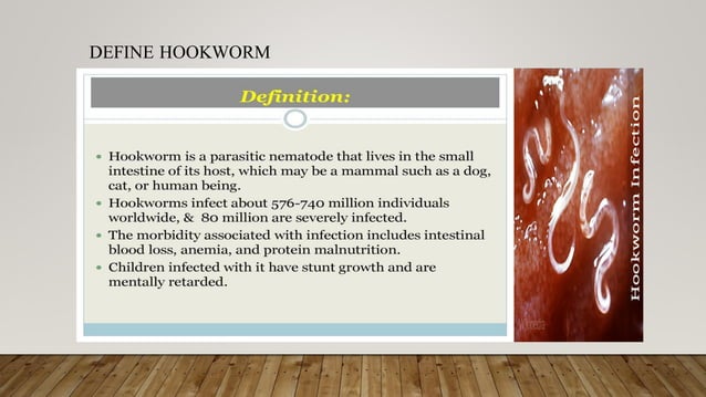Deworming ppt | PDF | Infectious Diseases | Diseases and Conditions