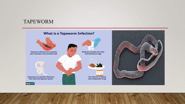 Deworming ppt | PDF | Infectious Diseases | Diseases and Conditions