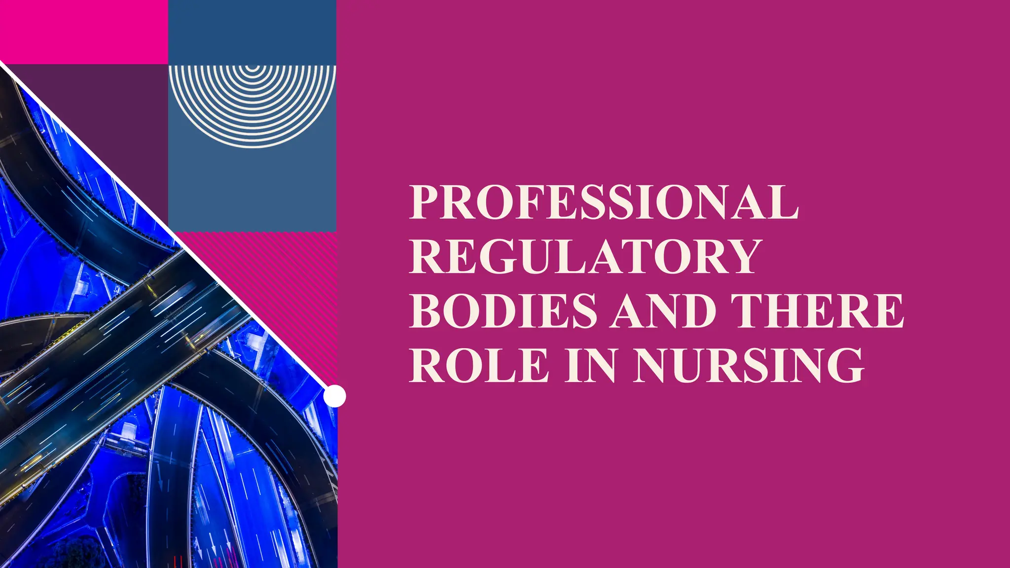 Title: Understanding Nursing Regulatory bodies | PPTX