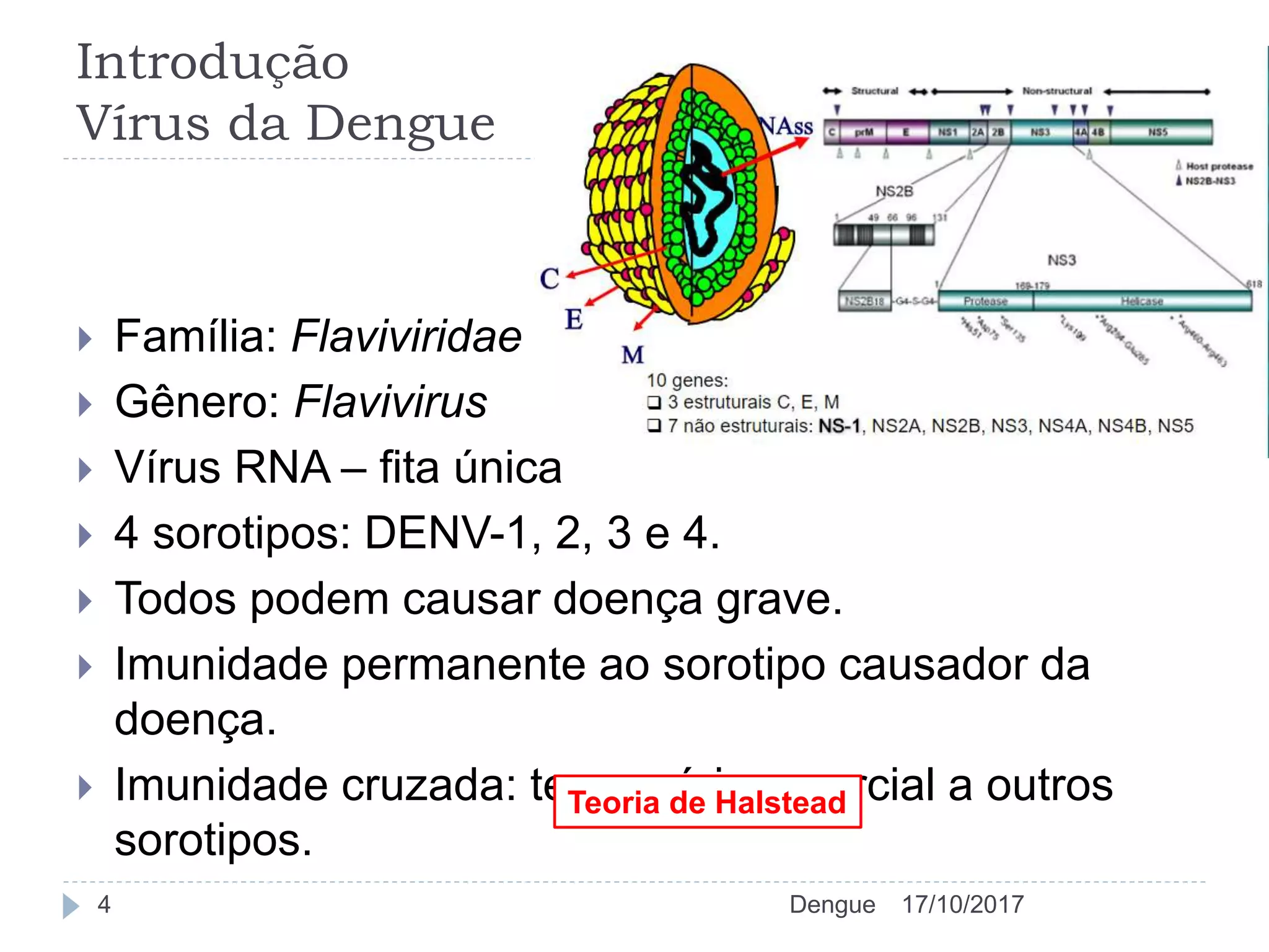 Dengue - Epidemiologia, Fisiopatologia, Evolução e Tratamento. | PPTX