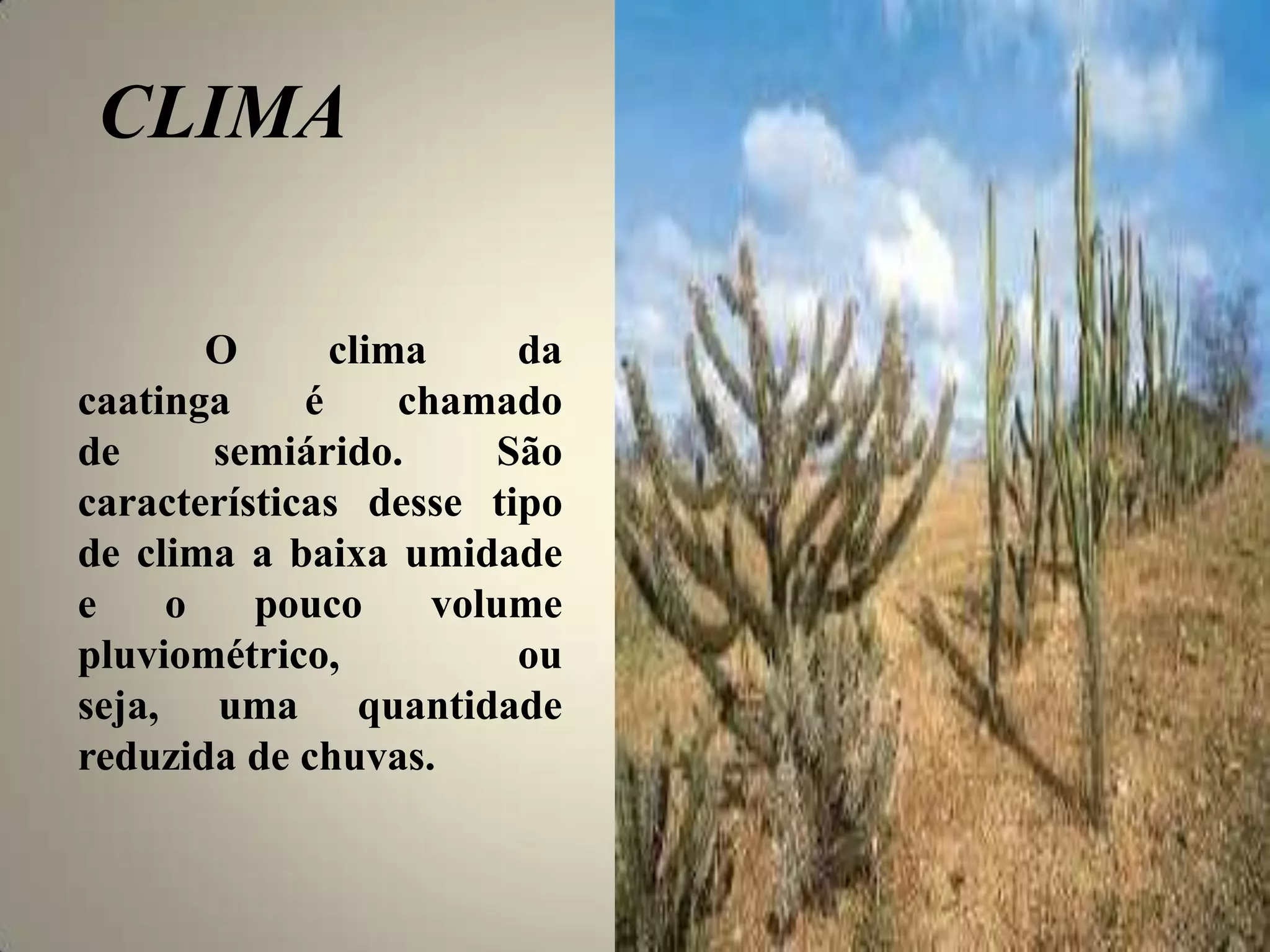 biogeografia bioma caatinga | PPT
