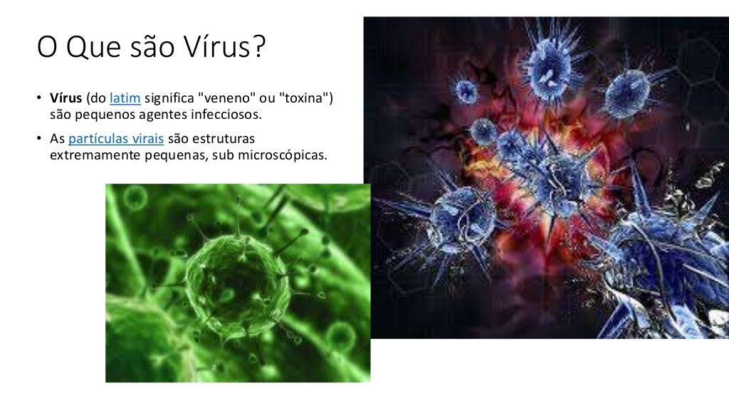 Os virus