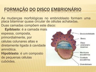 Seminário de embriologia | PPTX
