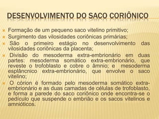 Seminário de embriologia | PPTX