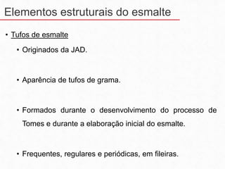 Histologia do Esmalte, Dentina, Polpa e Cemento | PDF