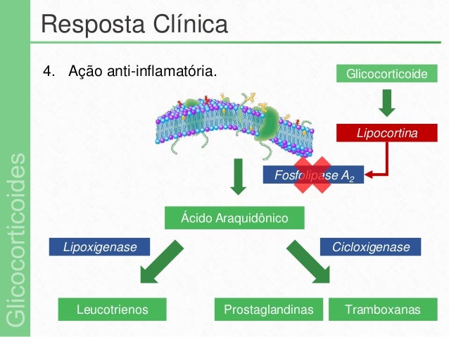 Glicocorticoides - Farmacologia