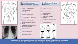 Constitucional semiología completa desarrollo.pptx
