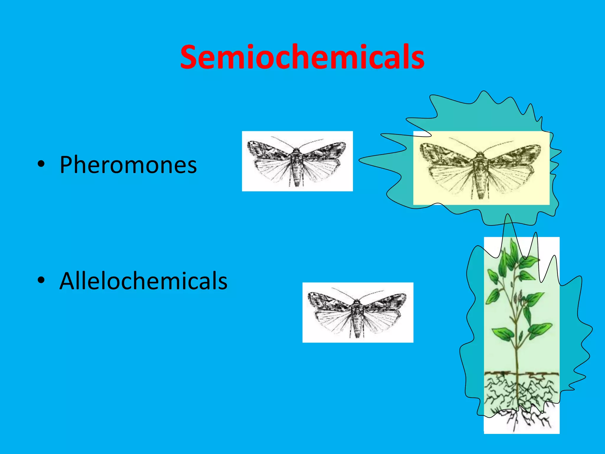 Semiochemicals pheromones | PPTX