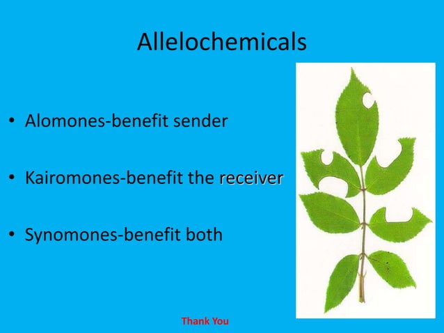 Semiochemicals pheromones | PPTX | Beekeeping | Hobbies & Interests