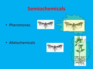 Semiochemicals pheromones | PPTX